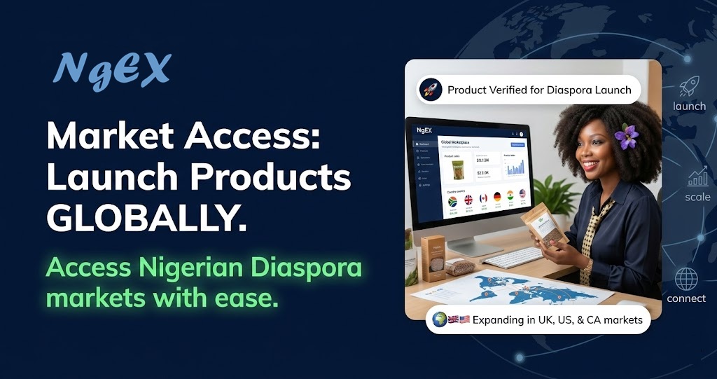 Product Distribution & Market Access in Nigerian Diaspora Markets | NGEX
